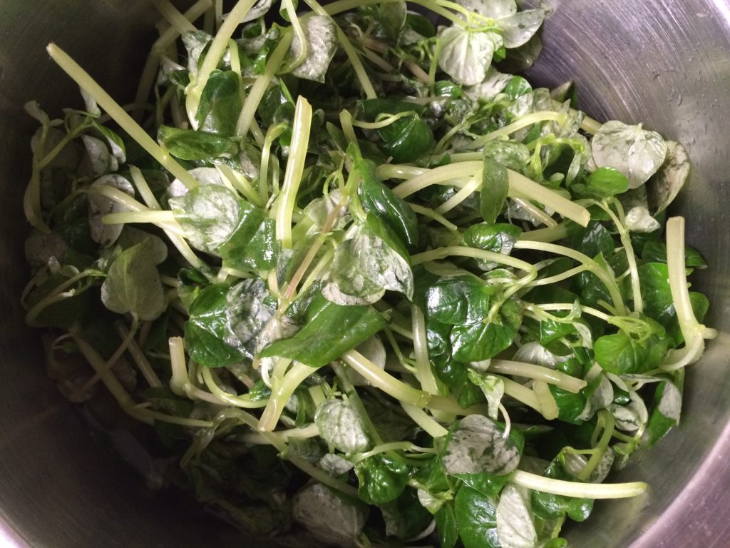 Sri Lankan Mint Sambol, Vietnamese Rau Càng Cua Salad and Vietnamese ...