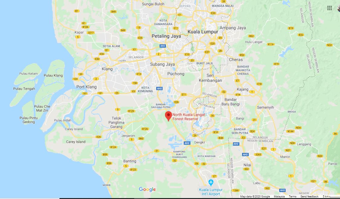 Save The North Kuala Langat Forest Reserve – Leaf Blogazine
