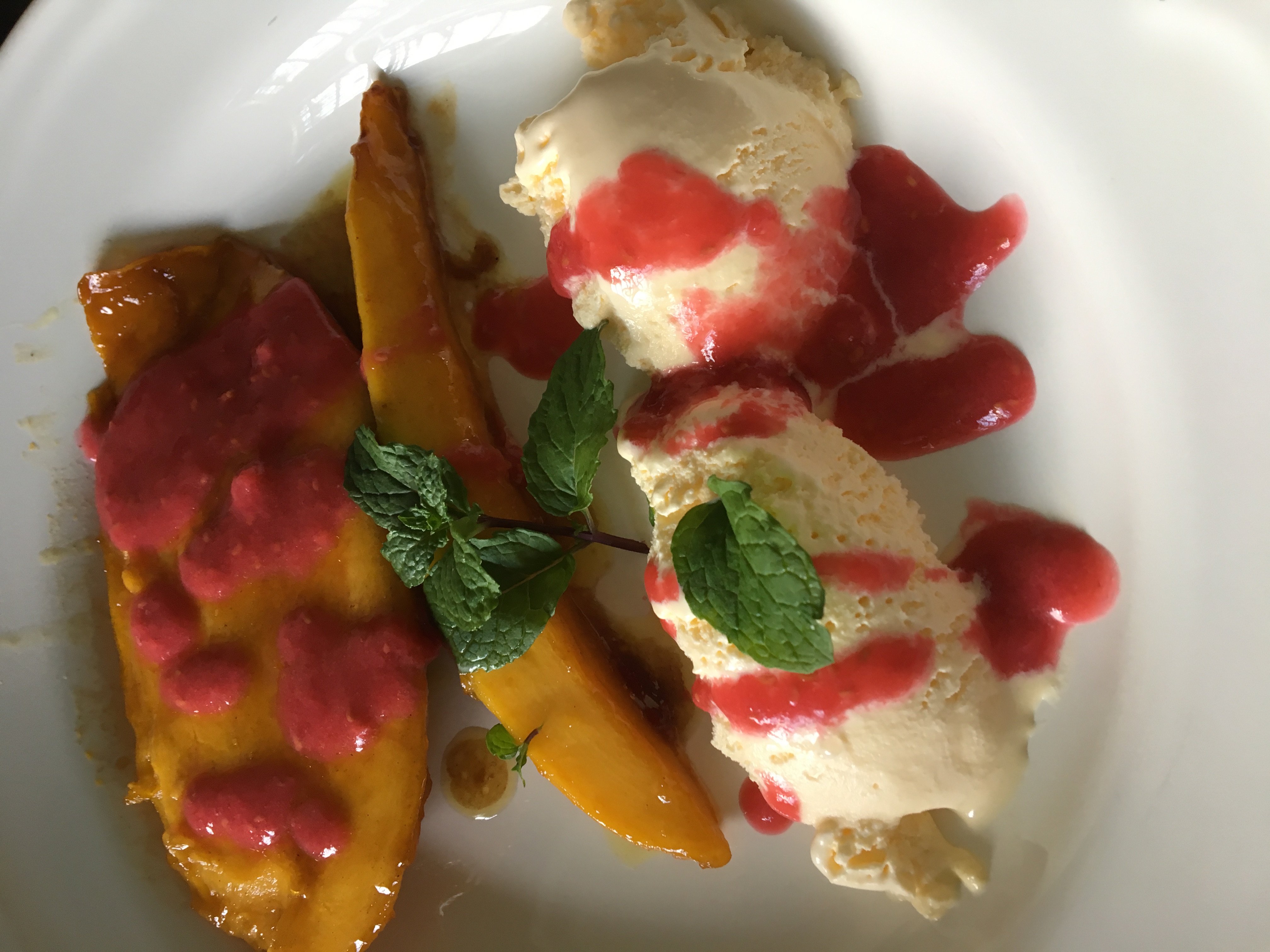 Mango 🥭 Melba – Leaf Blogazine