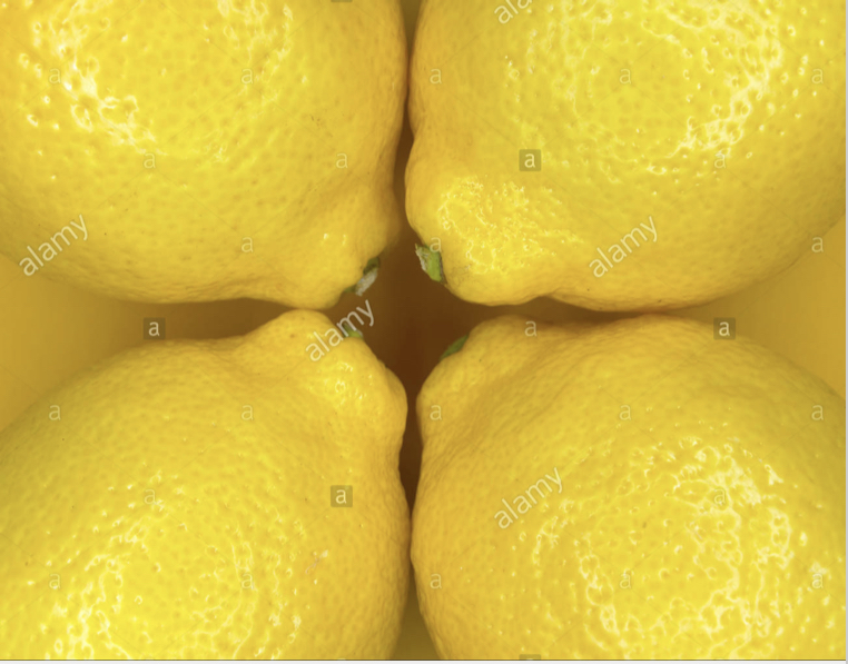 The bitter pith of the lemon – Leaf Blogazine