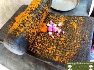 Pol Sambol or Coconut Sambol, A Sri Lankan Delicacy – Leaf Blogazine