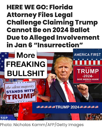 Sharmini Jayawardena Thoughts and Memes 4 – Leaf Blogazine