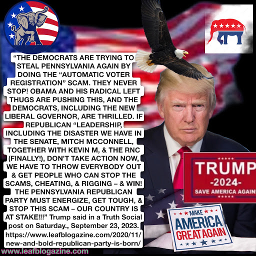 Sharmini Jayawardena Thoughts In MEMES 9 – Leaf Blogazine