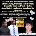 Sharmini Jayawardena MEMES 12 – Leaf Blogazine